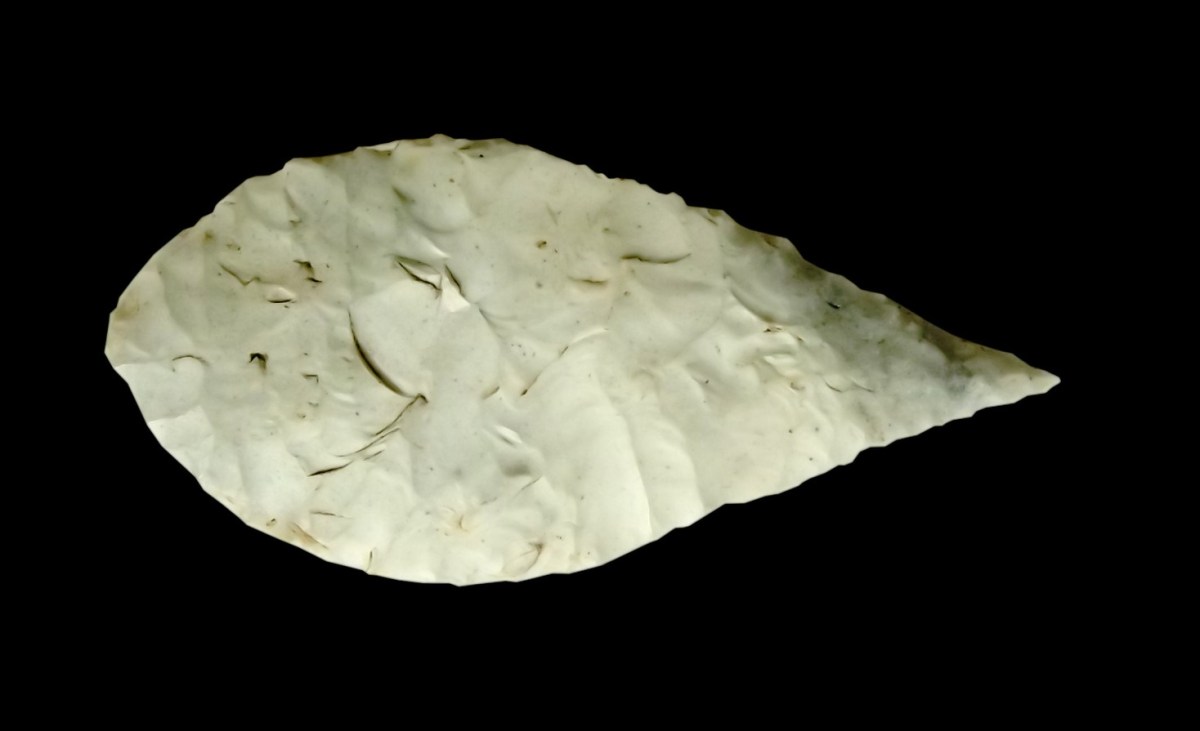 Leaf Shaped Arrowhead – adopt an object